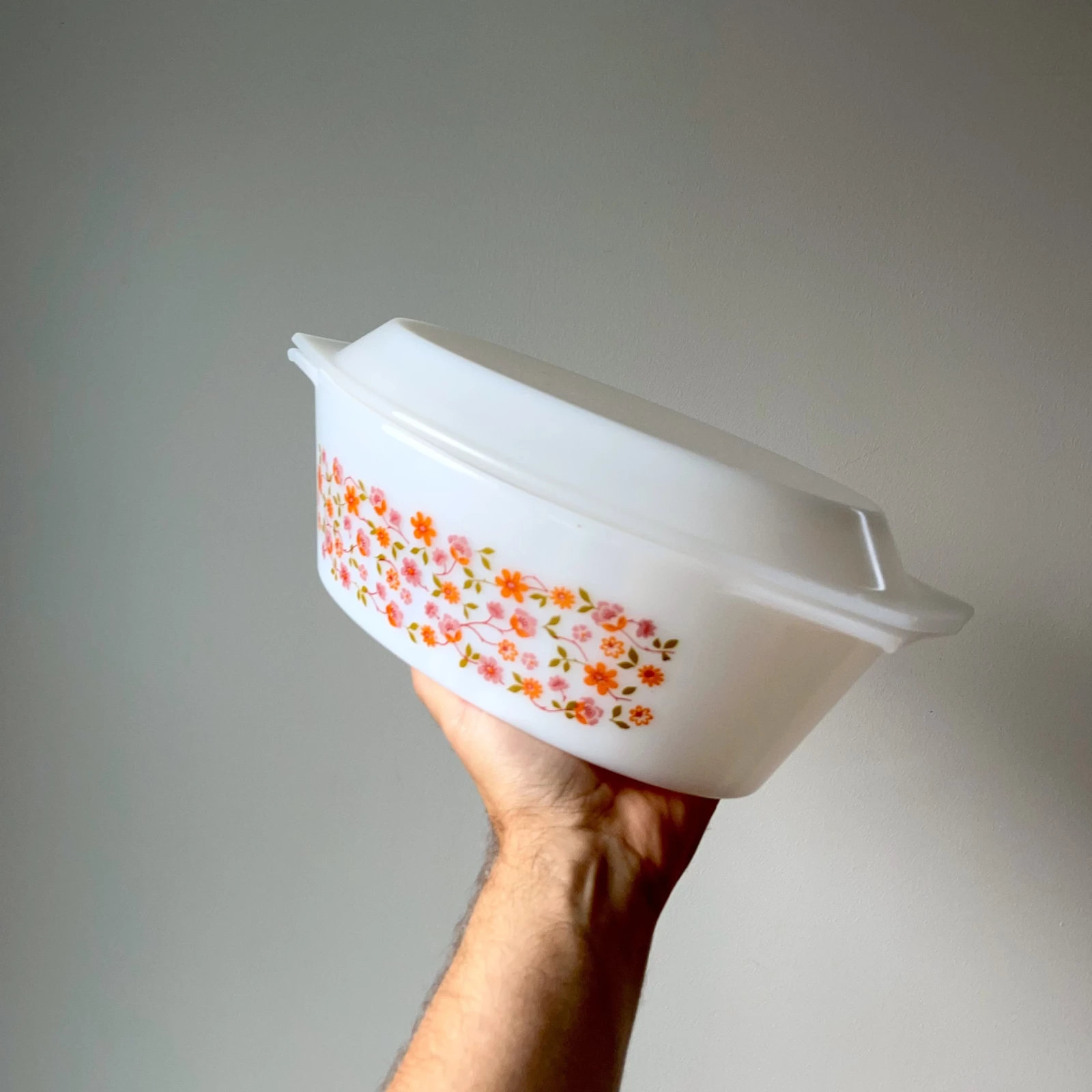 Grande cocotte Arcopal Scania • Yo la broc